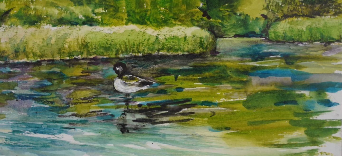 Reflected Light | Pablo Center